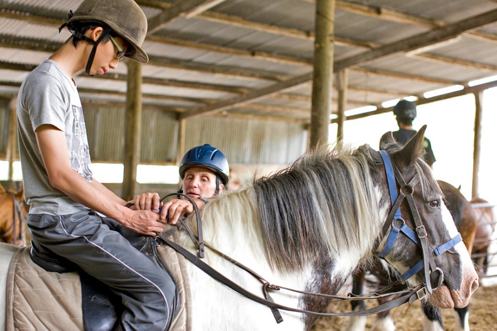 embassy-academy-summer-english-and-horse-riding-4 - Stourport Riding Centre